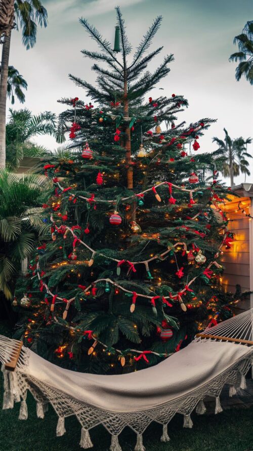 15 Christmas in July Party Ideas – Ballen Blogger